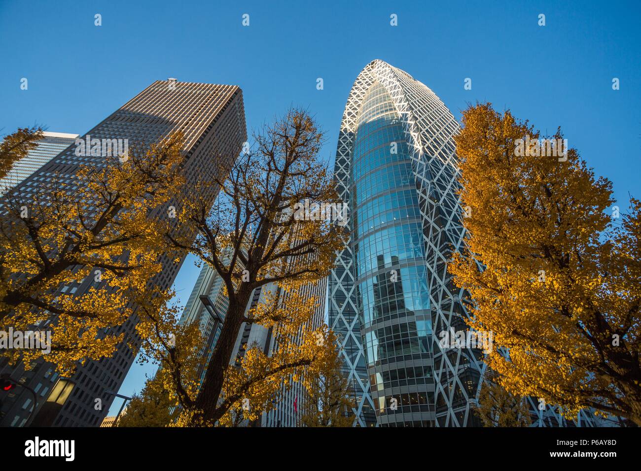 Japan, Tokyo City,Shinjuku District,Cocoon Tower(Mandatory credit: arch ...