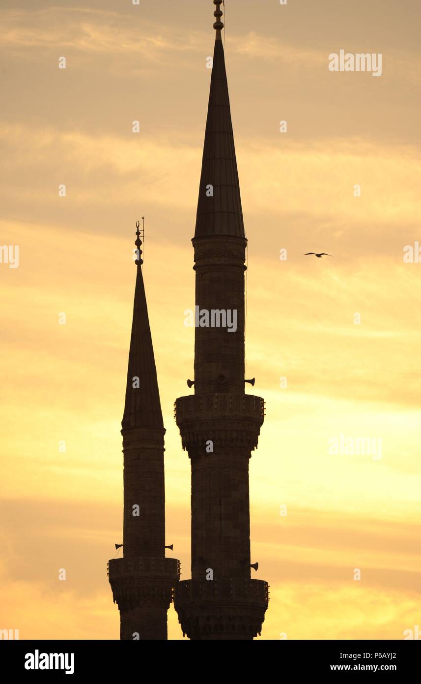 Architect sedefkar mehmed agha hi-res stock photography and images - Alamy