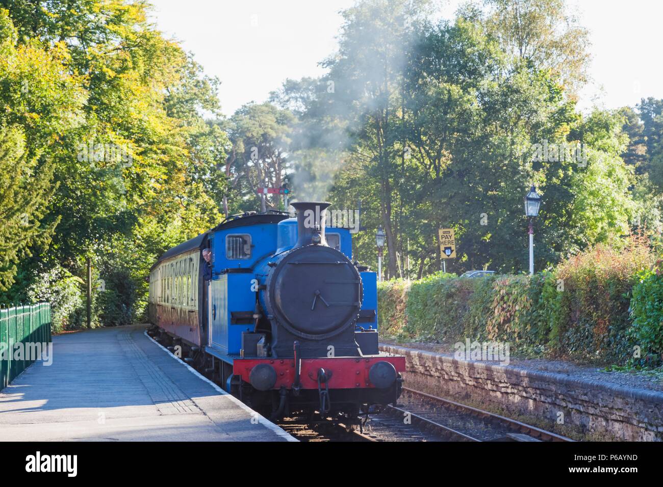 England, Cumbria, Lake District, Windermere, Lakeside, Steam Train of ...