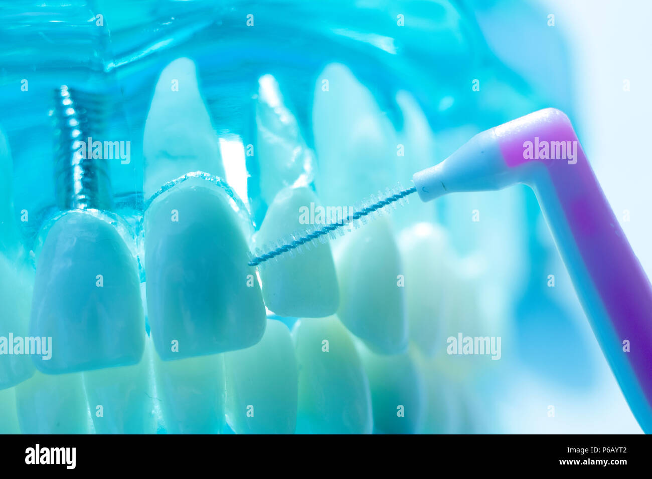 Inter dental teeth cleaning brush healthy floss action between each ...