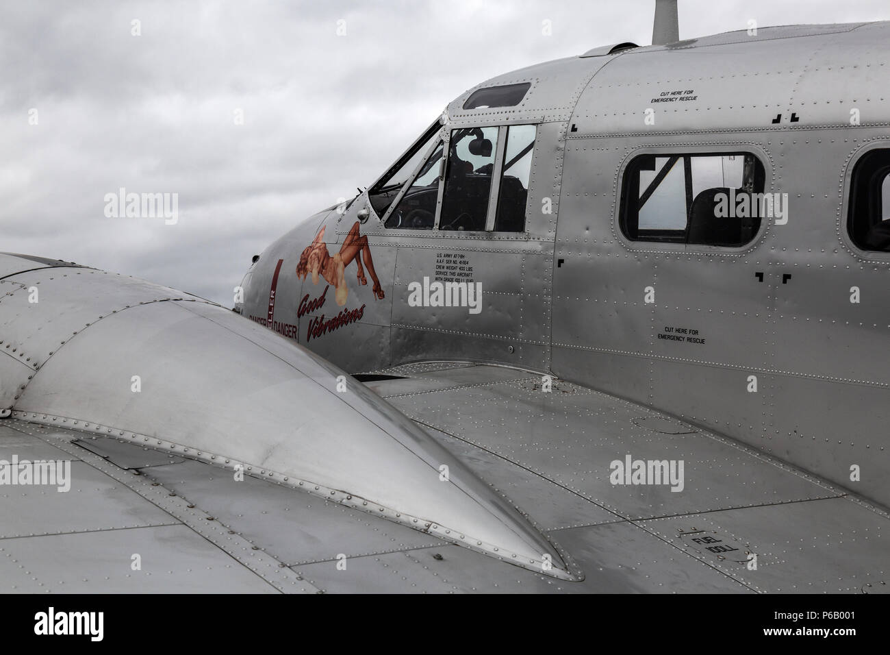 Beech 18 hi-res stock photography and images - Alamy
