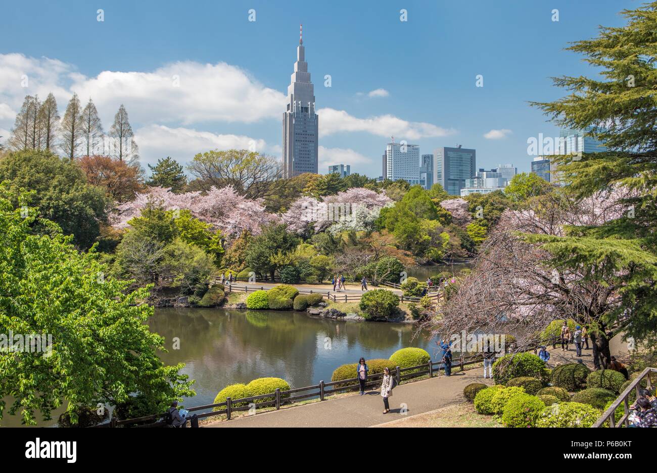 Spring Vegetation Tokyo High Resolution Stock Photography and Images ...