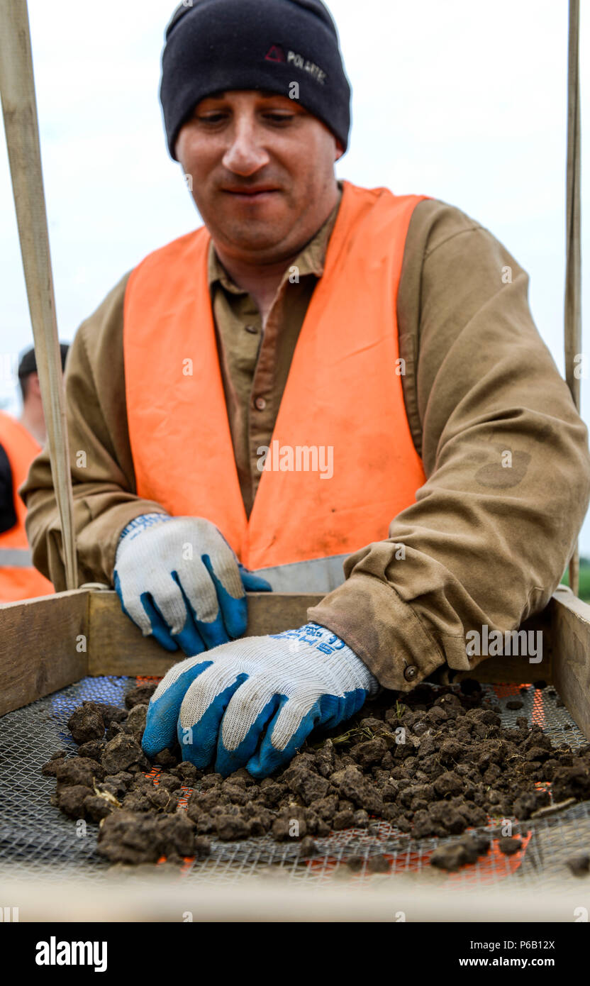 U.S. Army Sgt. 1st Class Joseph Stoner, NCO in charge of Mortuary ...