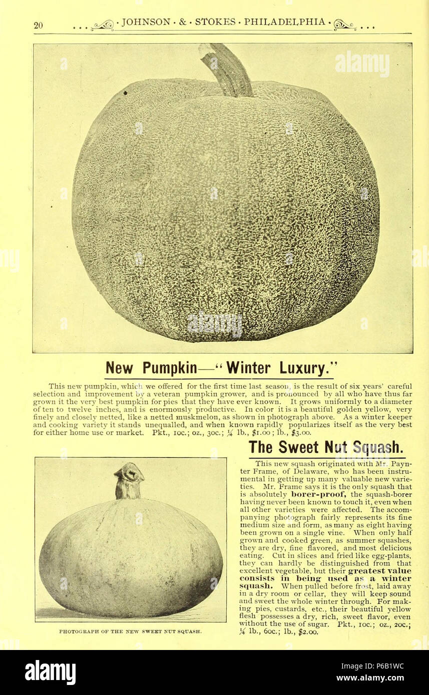 1894 garden and farm 1891 manual (Page 20) BHL42606062 Stock Photo - Alamy