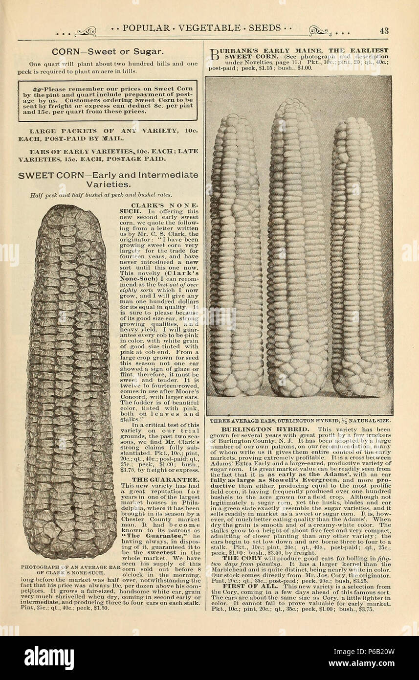 1894 garden and farm 1891 manual (Page 43) BHL42606085 Stock Photo - Alamy