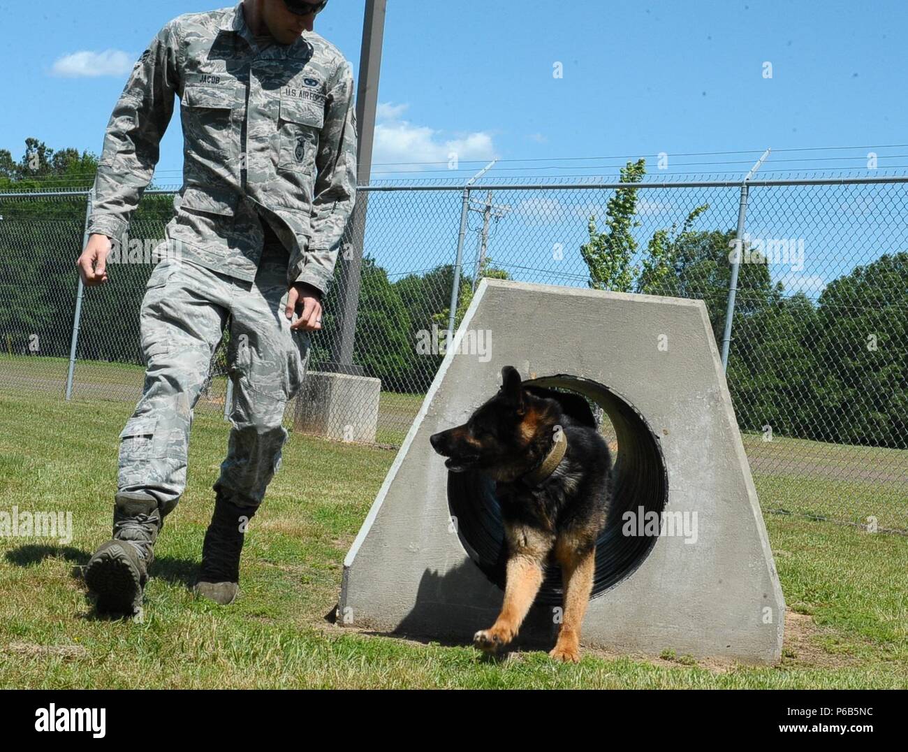 Guides his military working dog hi-res stock photography and images - Alamy