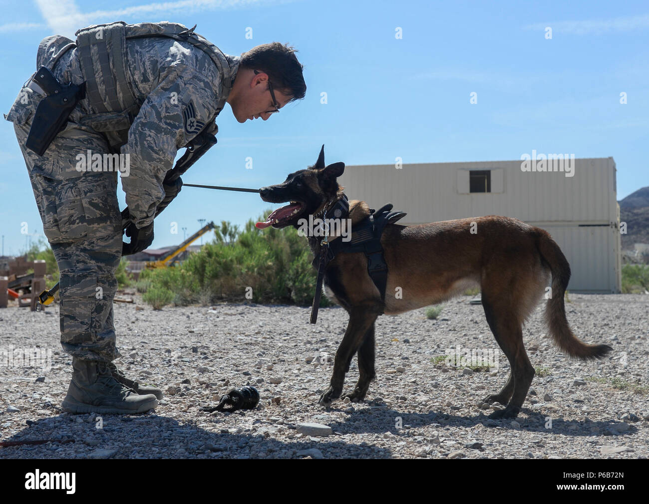 Security forces k9 handler dog hi-res stock photography and images - Alamy