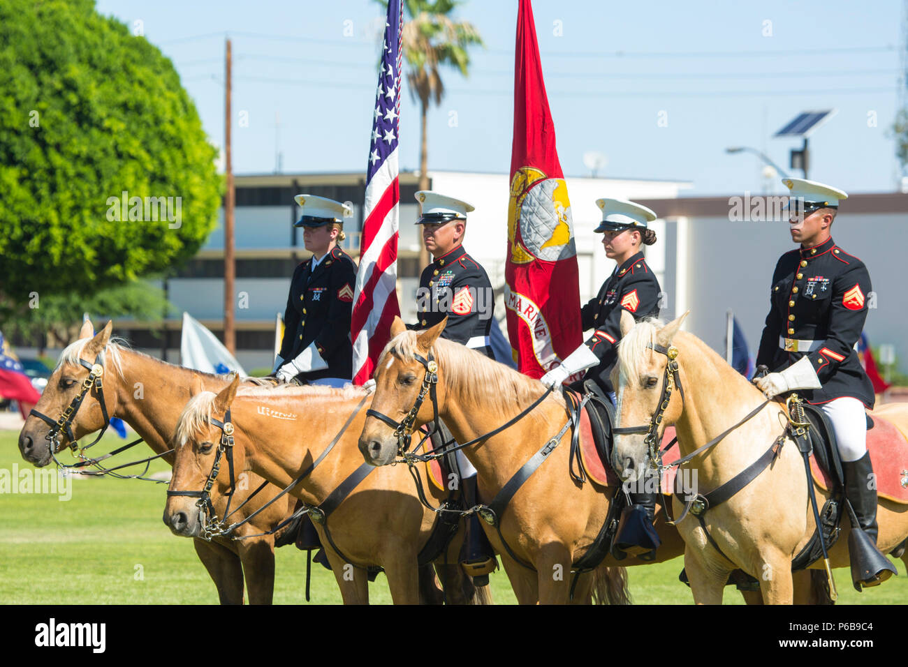 The Marine Corps Mounted Color Guard participates in a retirement ...