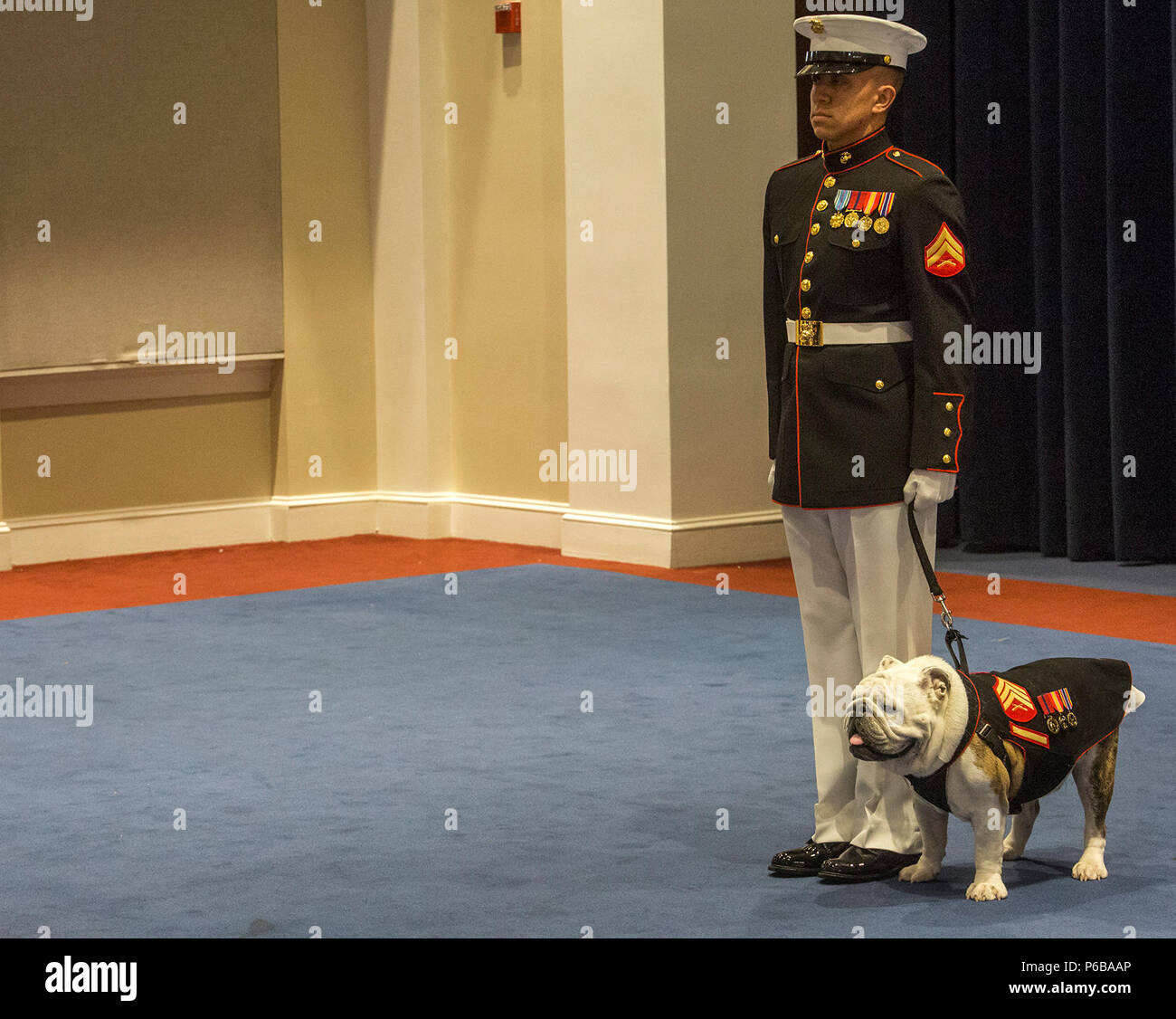 Richard b handler hi-res stock photography and images - Alamy