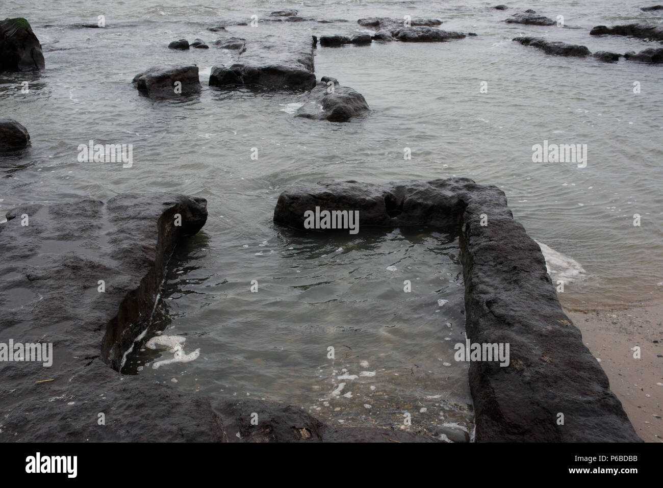 Peat bed and Petrified Forest ,Tywyn Beach, Wales Stock Photo - Alamy