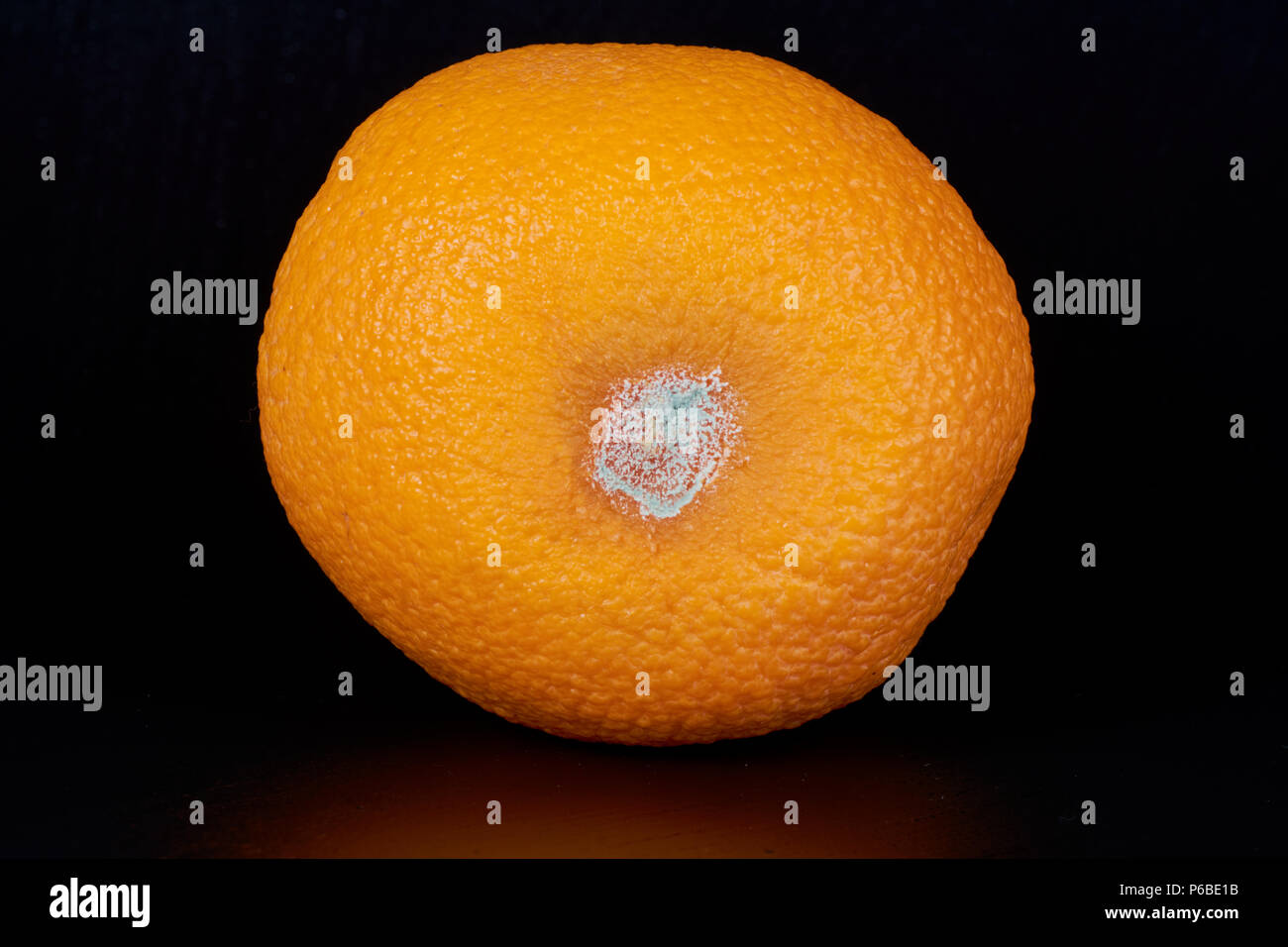 Orange With Mold High Resolution Stock Photography and Images - Alamy