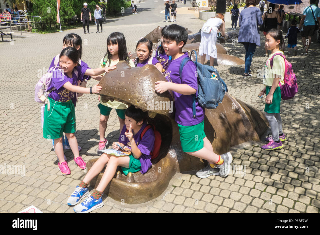 Taipei Zoo,zoo,animal,animals,Taipei,Taipei City,Taiwan,city,island ...