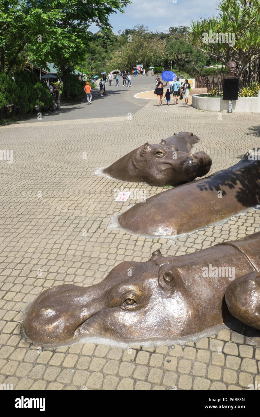 Taipei Zoo,zoo,animal,animals,Taipei,Taipei City,Taiwan,city,island ...