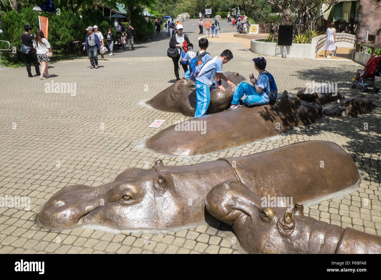 Taipei Zoo,zoo,animal,animals,Taipei,Taipei City,Taiwan,city,island ...