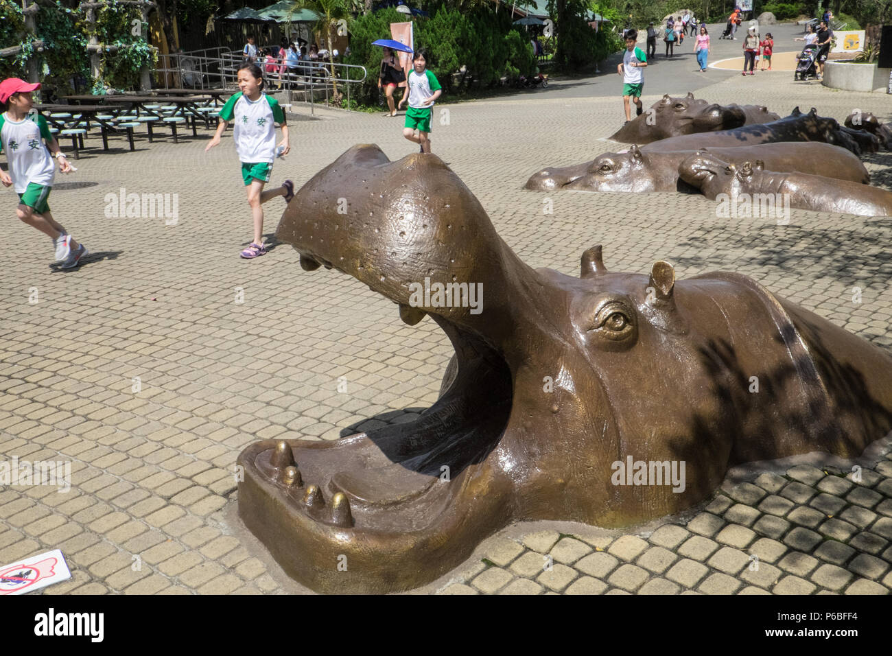 Taipei Zoo,zoo,animal,animals,Taipei,Taipei City,Taiwan,city,island ...