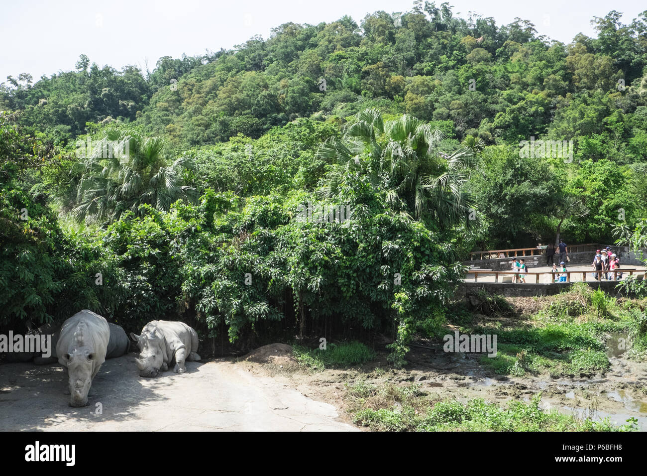 Taipei Zoo,zoo,animal,animals,Taipei,Taipei City,Taiwan,city,island ...