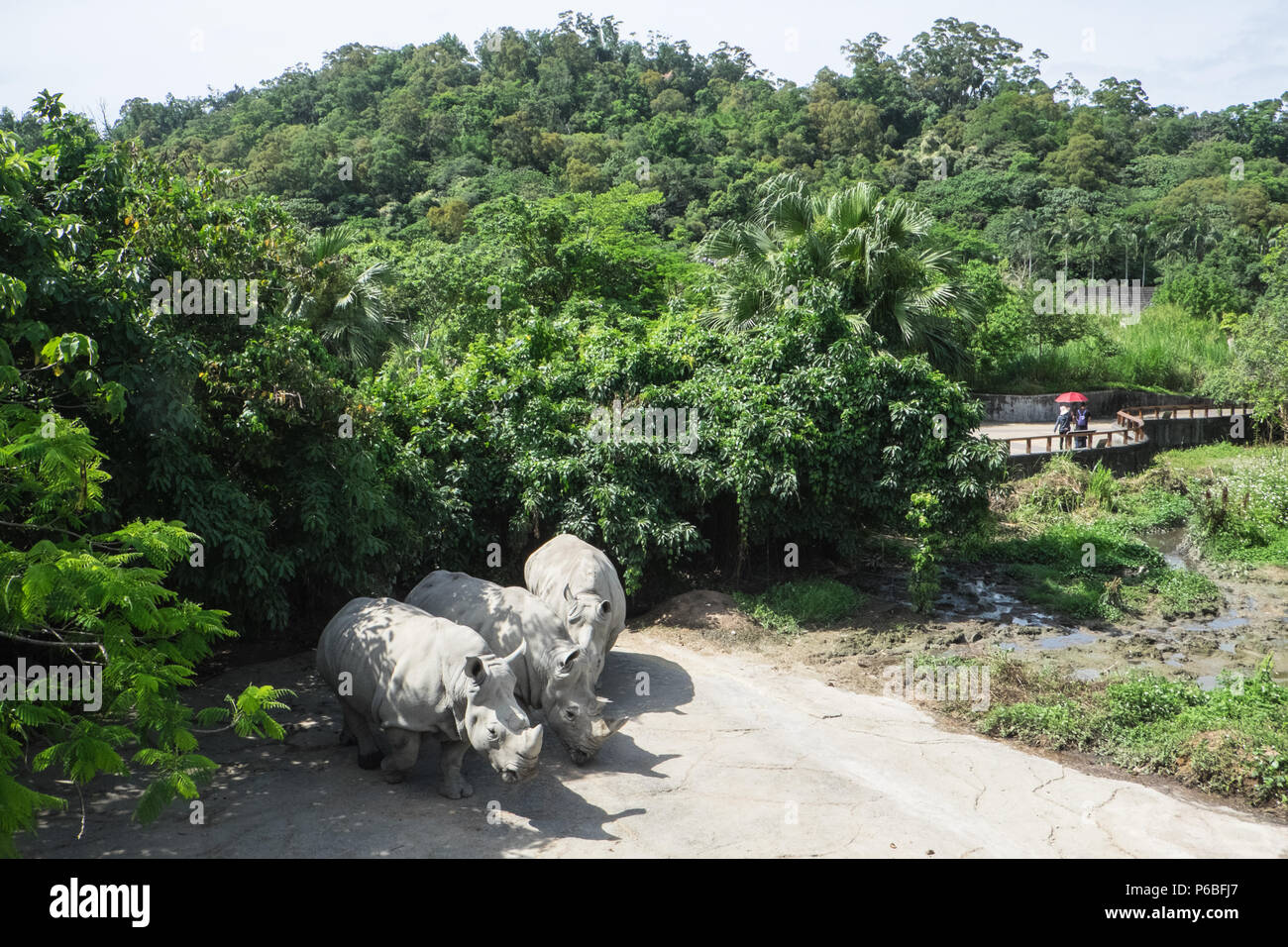Taipei Zoo,zoo,animal,animals,Taipei,Taipei City,Taiwan,city,island ...