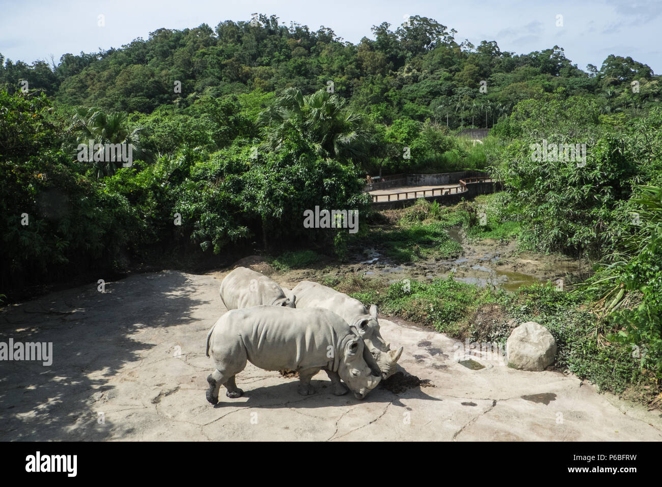Taipei Zoo,zoo,animal,animals,Taipei,Taipei City,Taiwan,city,island ...