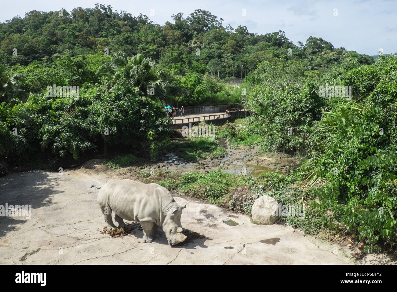 Taipei Zoo,zoo,animal,animals,Taipei,Taipei City,Taiwan,city,island ...