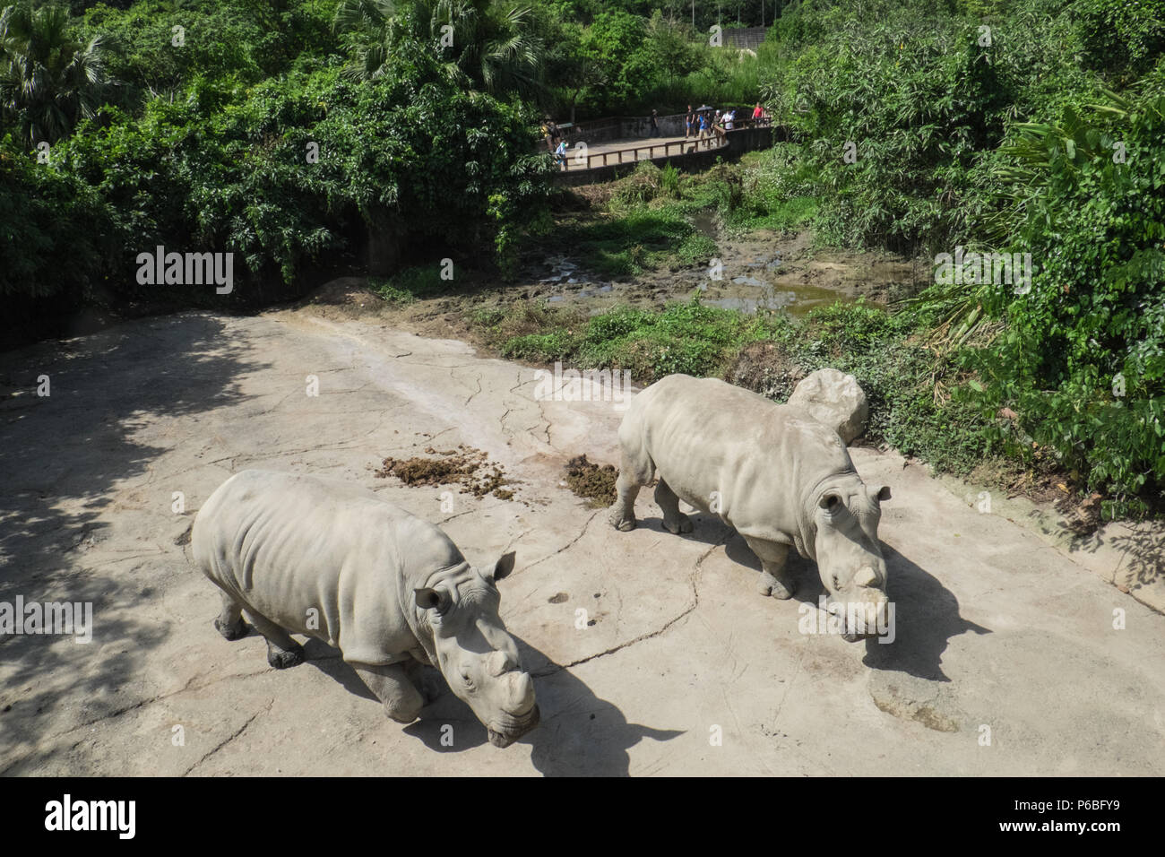 Taipei Zoo,zoo,animal,animals,Taipei,Taipei City,Taiwan,city,island ...