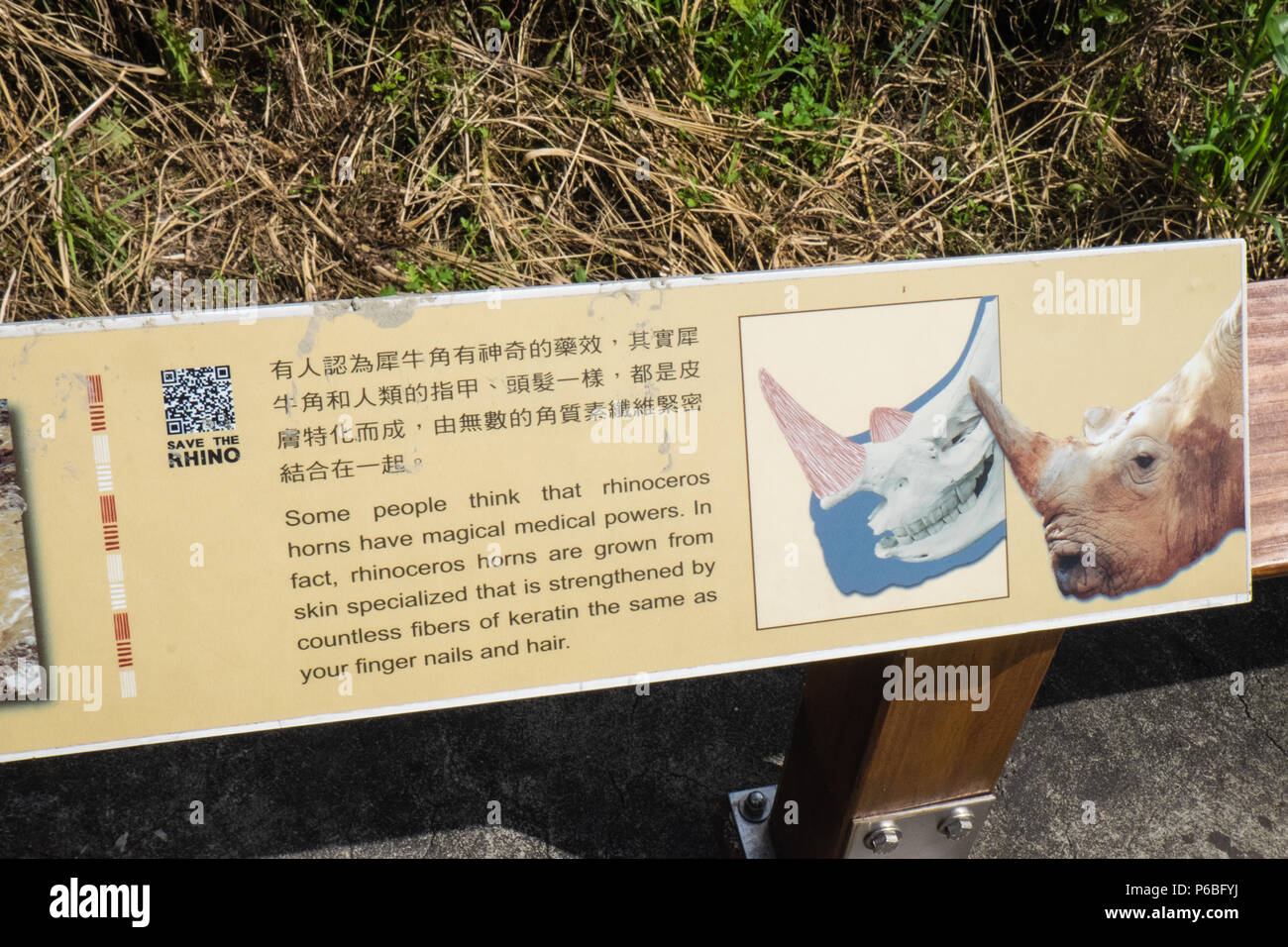 Taipei Zoo,zoo,animal,animals,Taipei,Taipei City,Taiwan,city,island ...