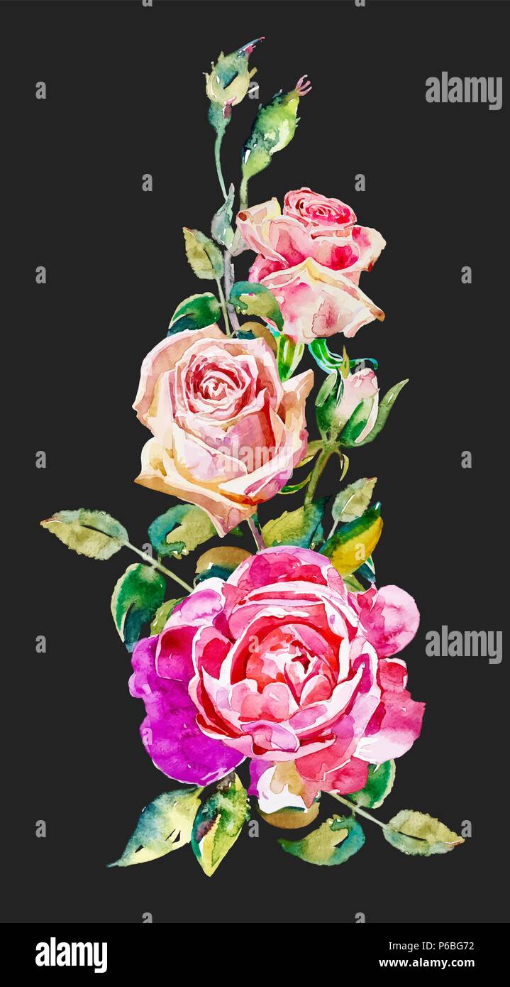 Watercolor bouquet pink roses Stock Vector Images - Alamy