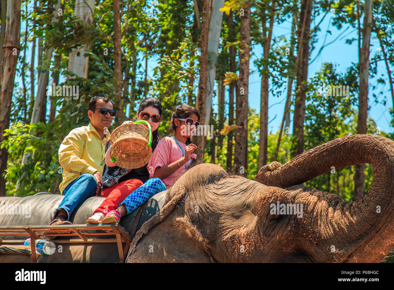 Kerala ride elephant hi-res stock photography and images - Alamy