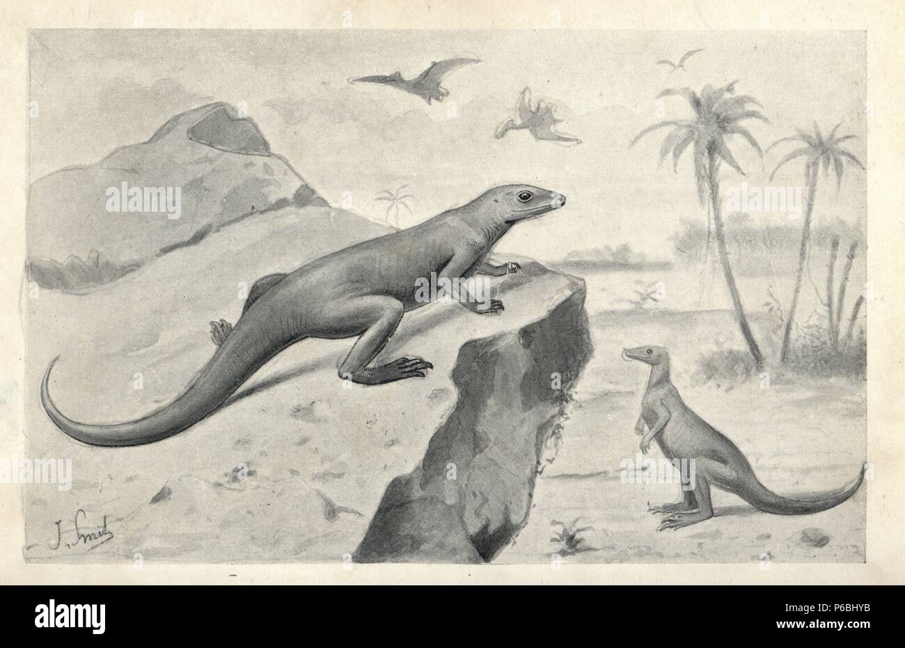 Hypsilophodon foxii dinosaurs and flying Pterodactyls, Cretaceous ...
