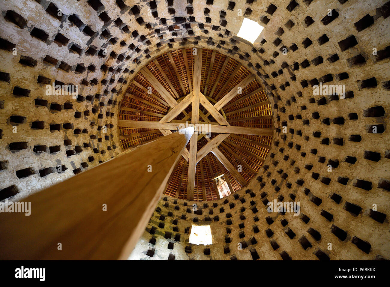 Pigeonhole hi-res stock photography and images - Alamy