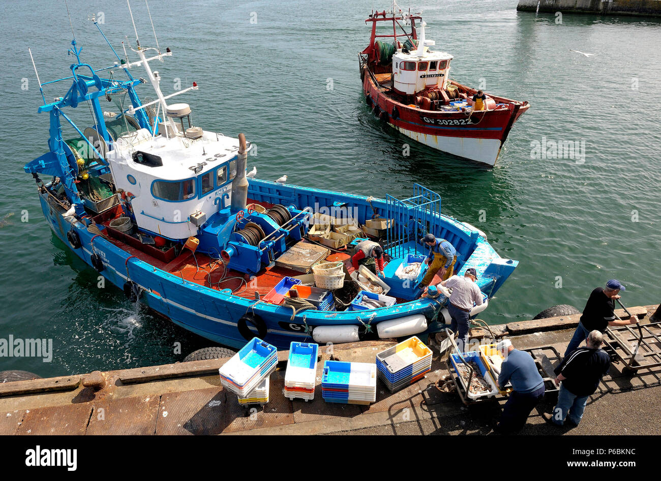 France, Brittany, Finistere, unloading of a coastal trawler at the ...