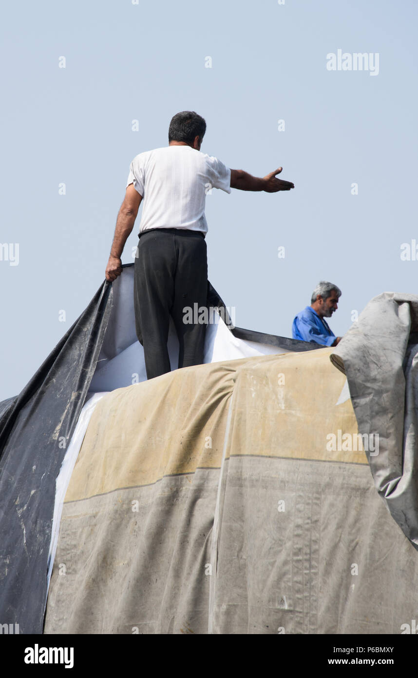 Iranian Dhow Sailors in Deira,Dubai Stock Photo - Alamy