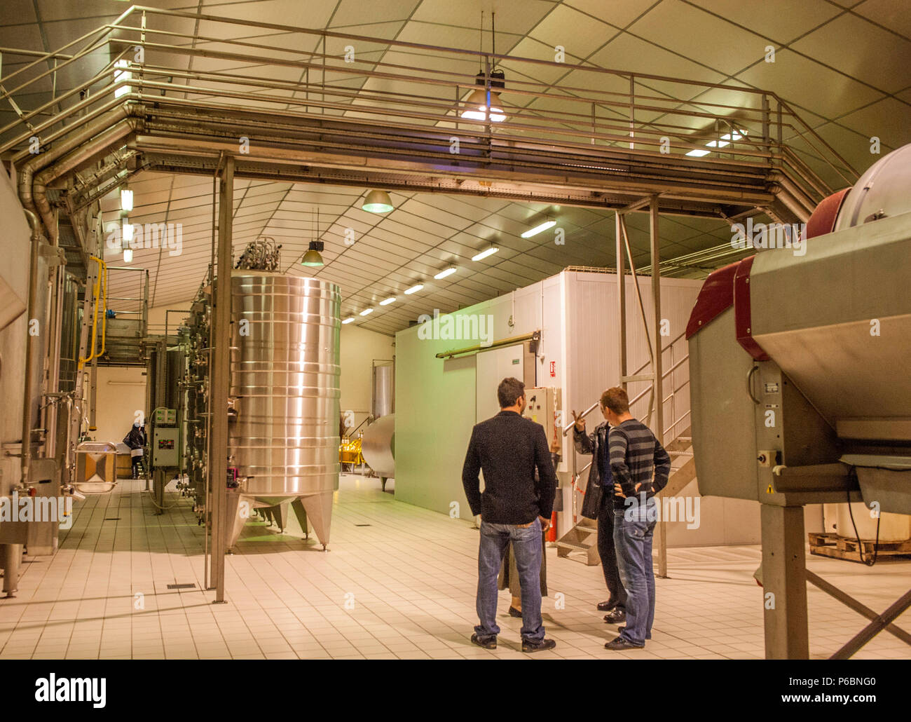 . Mandatory credit: La Tour Blanche castleSouth West France, PDO wine ...