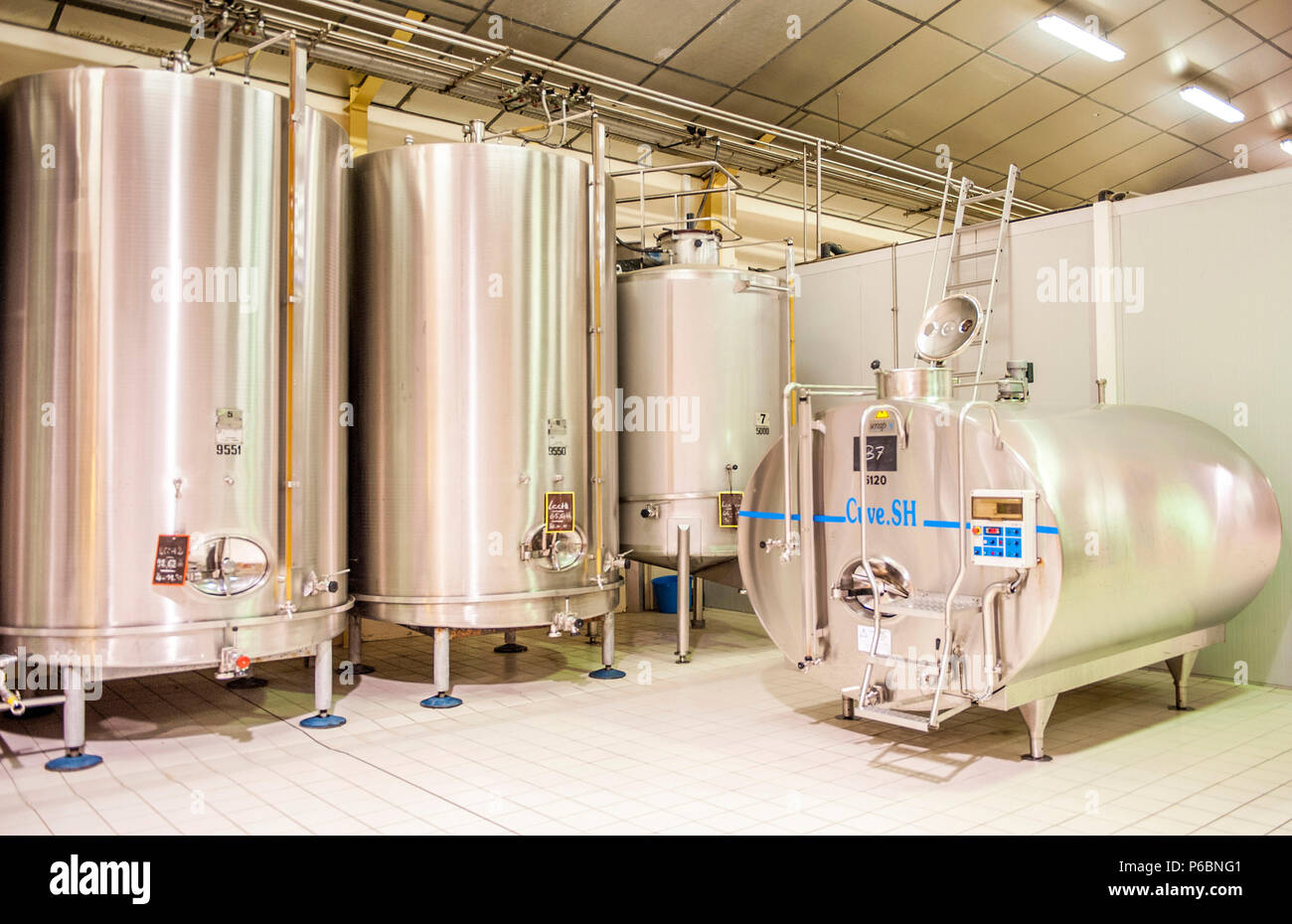 South West France, PDO wine Sauternes vineyard, chateau La Tour Blanche ...