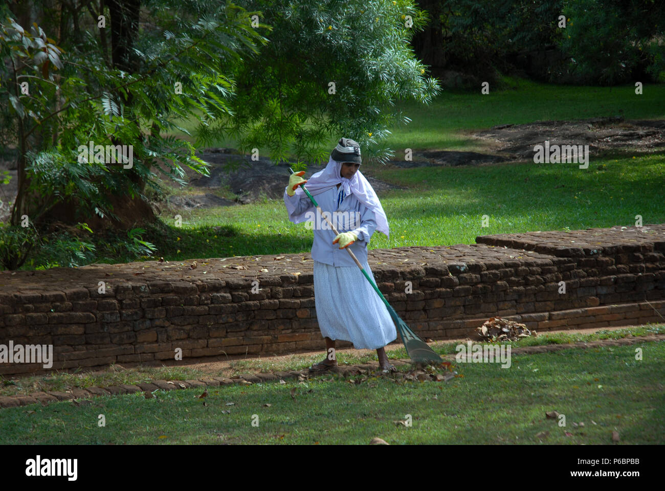 Lady raking leaves, Sigiriya Rock Fortress, Sigiriya, Central Province ...