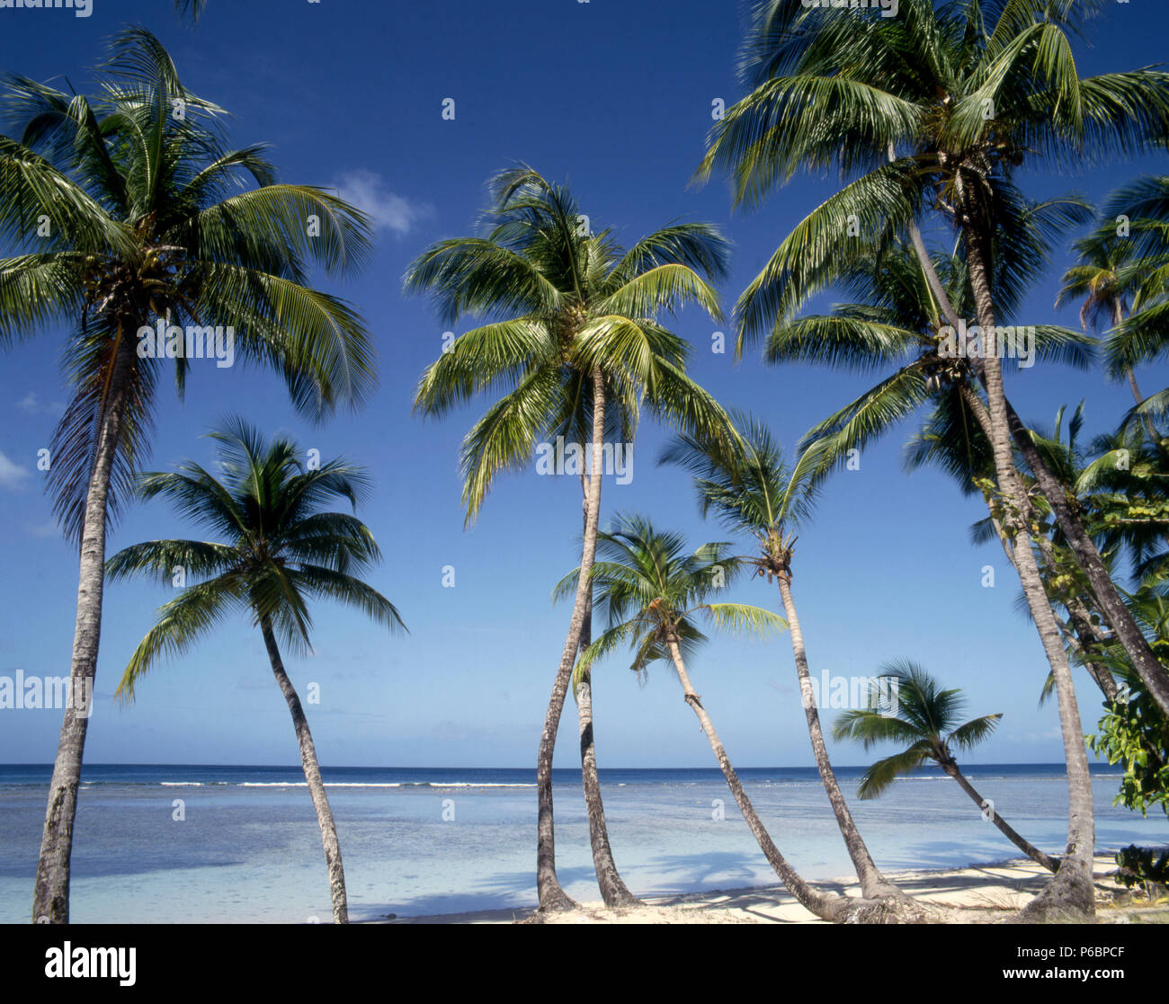 Caribbean, Tobago, Pigeon Point, beach Stock Photo - Alamy