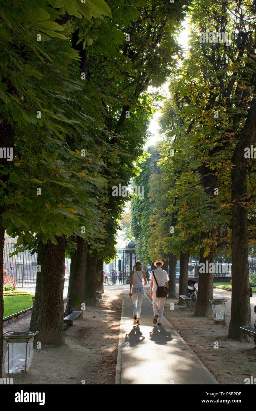 Chestnut tree in paris france hi-res stock photography and images - Alamy