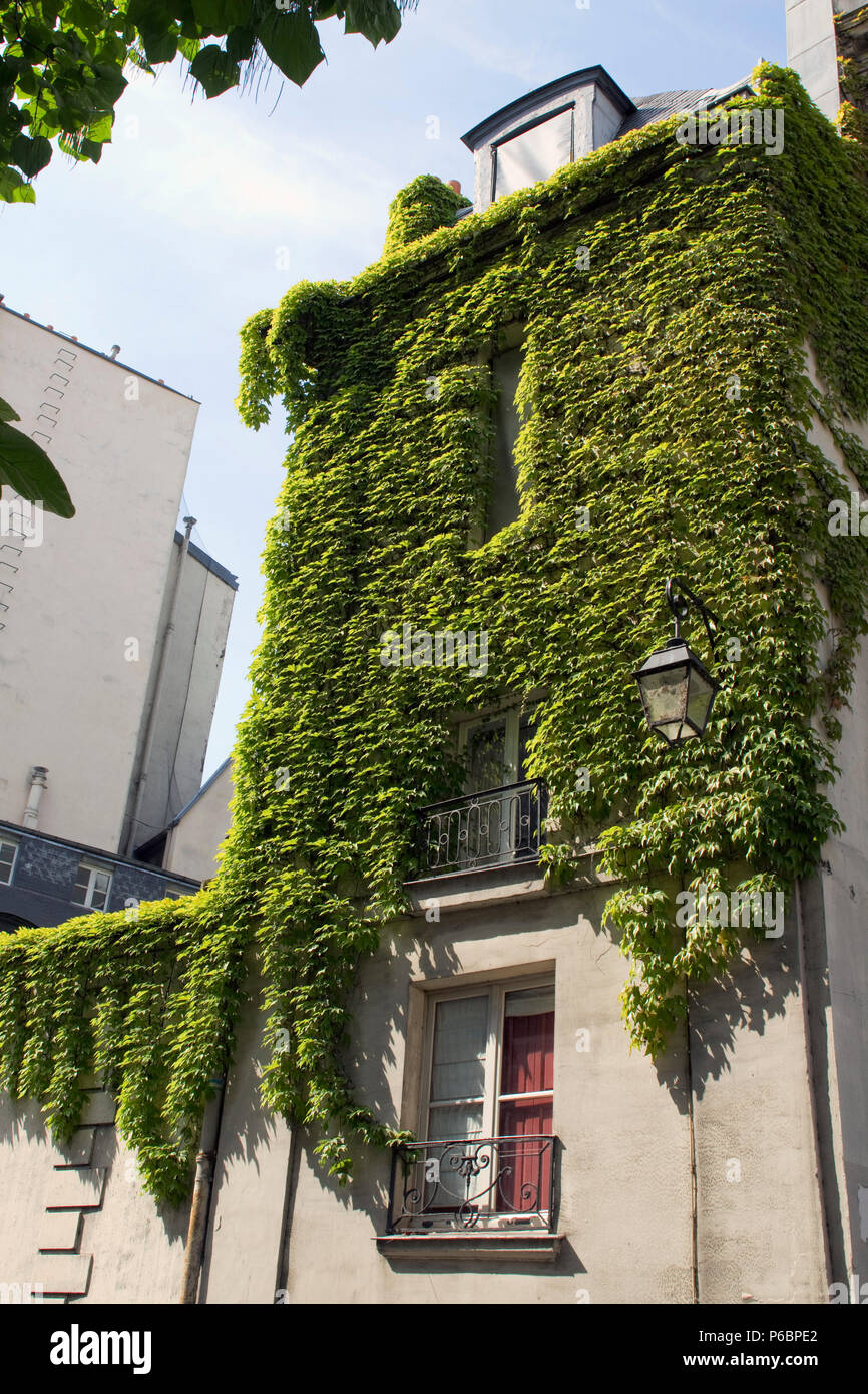 France, Paris, Rue de Seine, house covered with Virginia creeper Stock ...