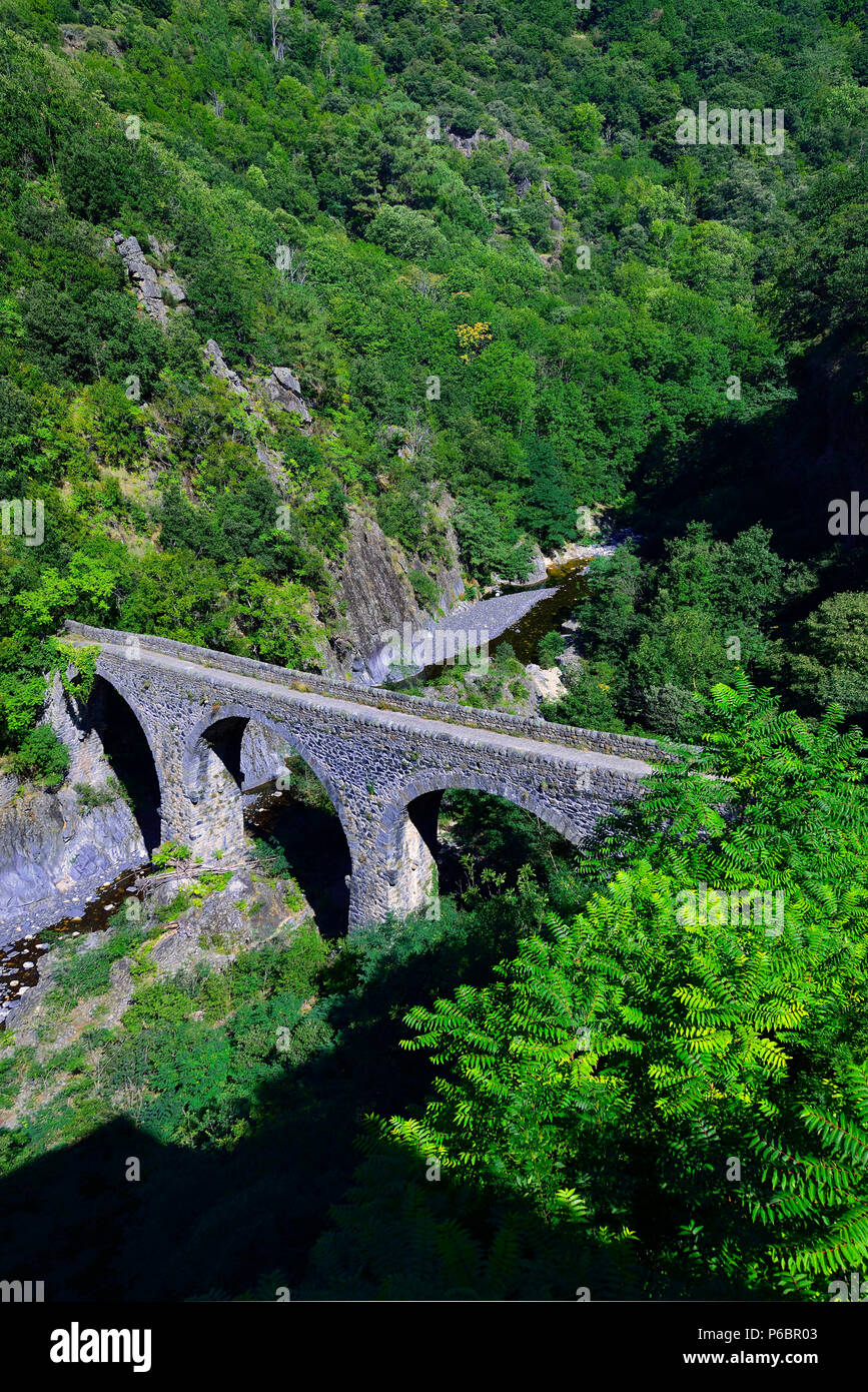 Architecture bridge day forest hi-res stock photography and images - Alamy