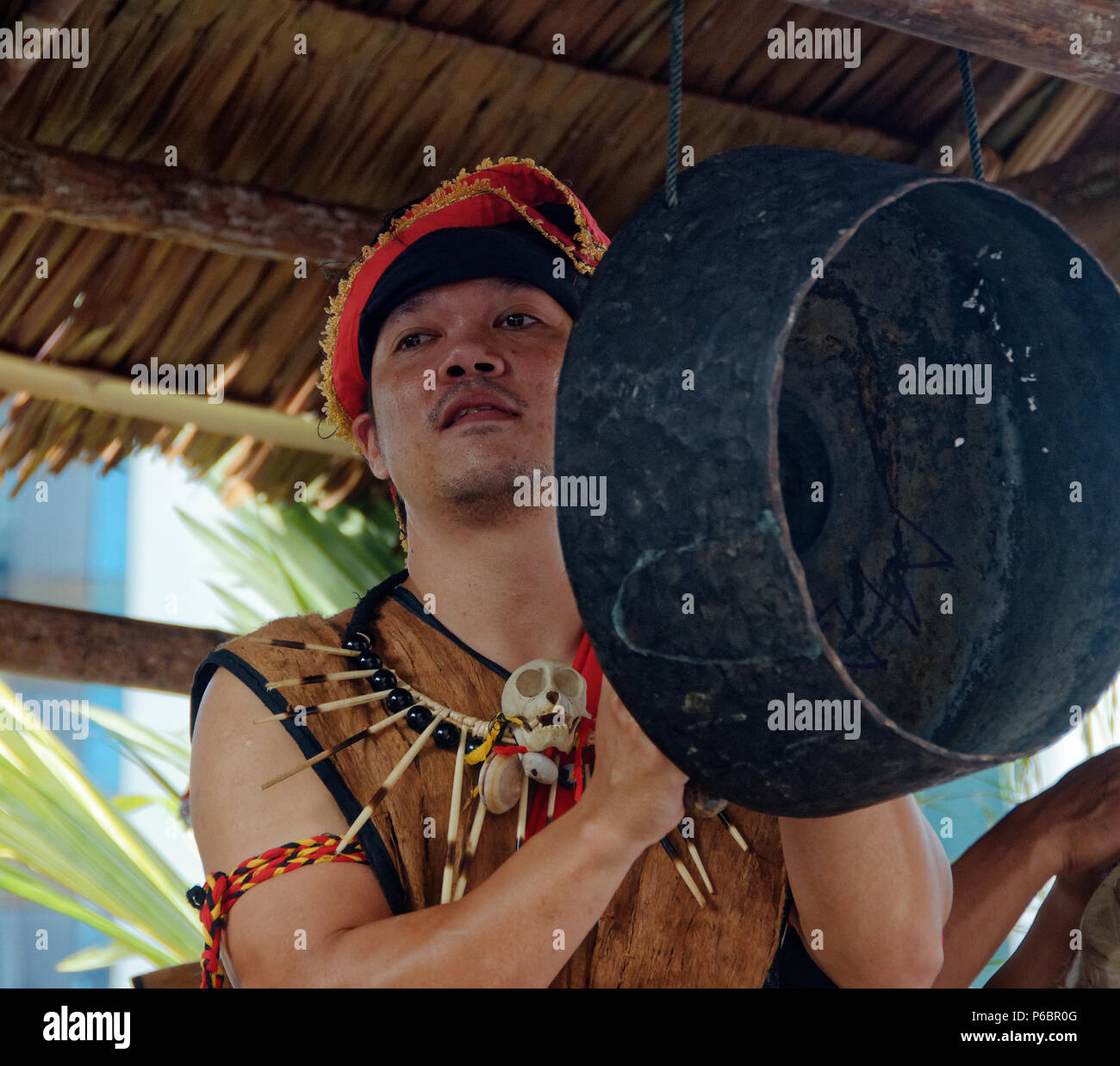 Drummer on a float using traditional native drum, during Gawai parade ...