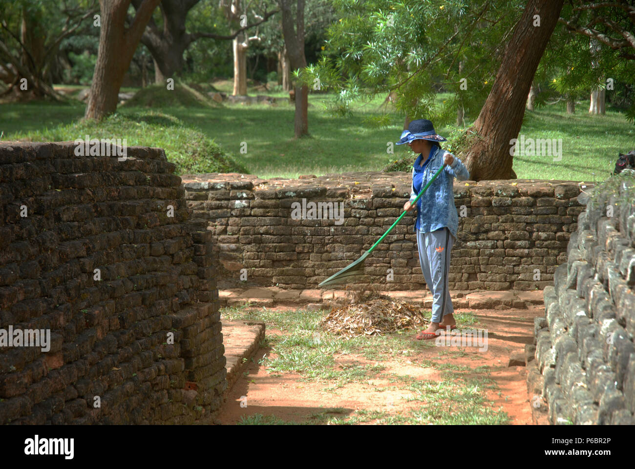 Lady raking leaves, Sigiriya Rock Fortress, Sigiriya, Central Province ...