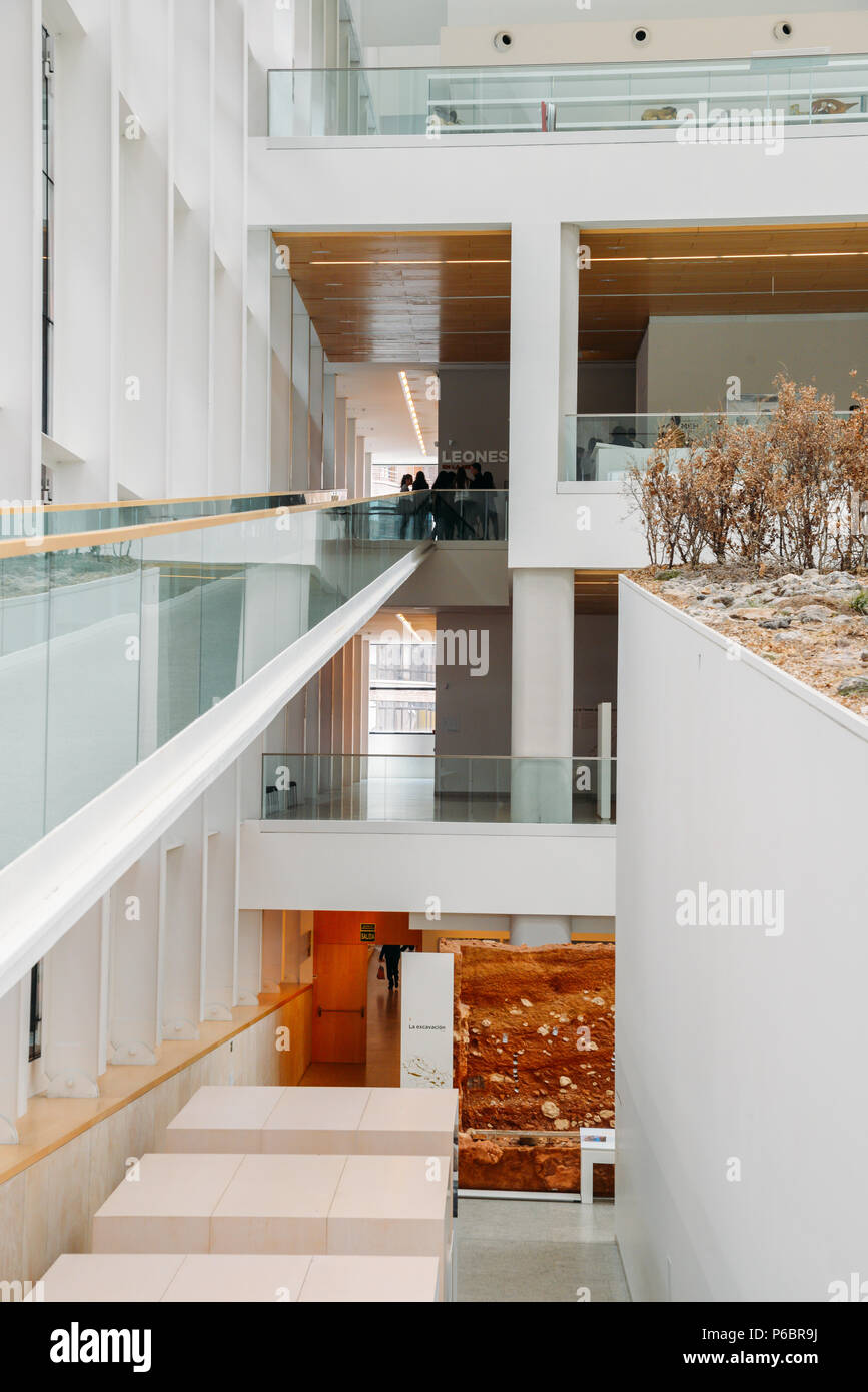 Interior of the Human Evolution Museum a natural history museum in ...