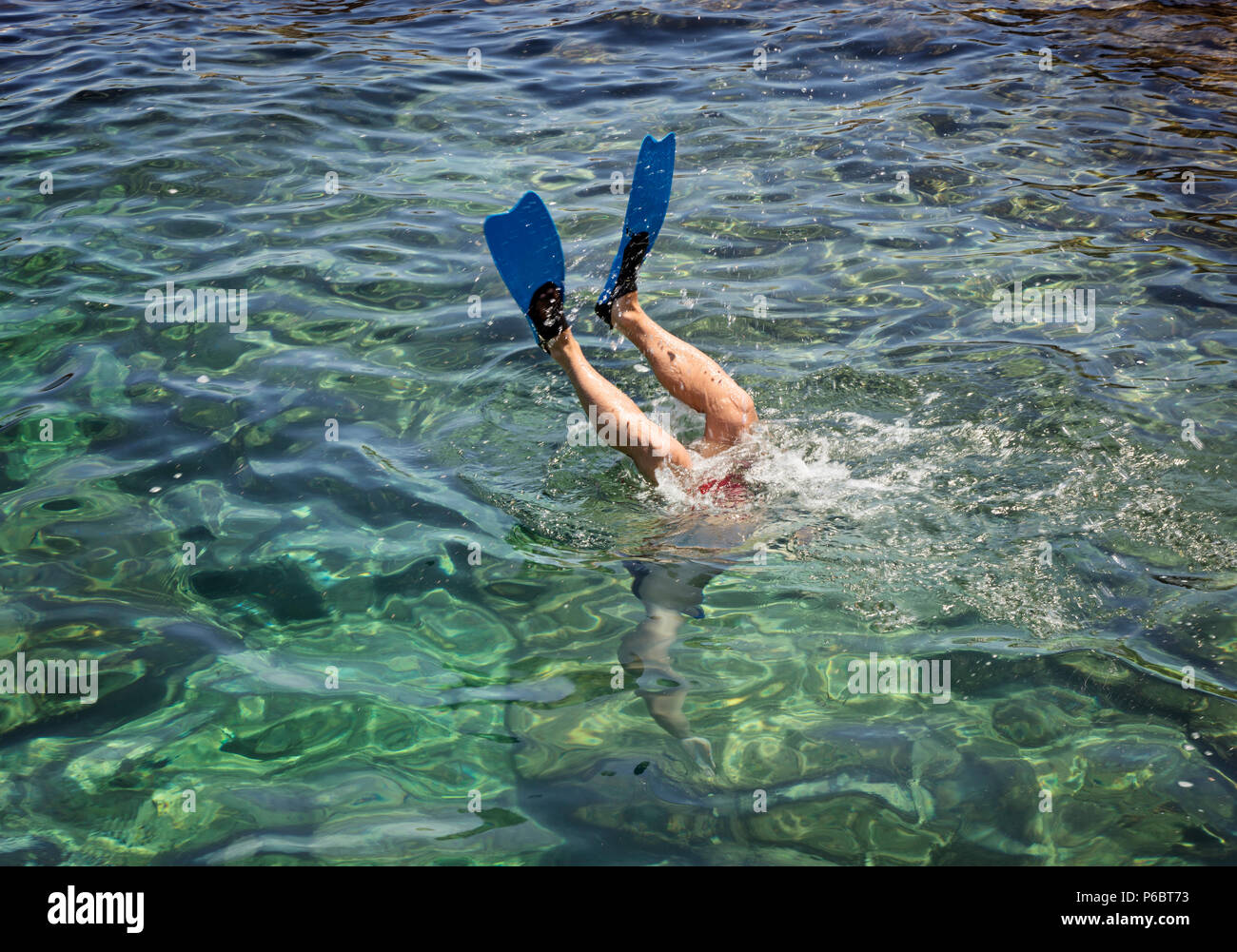 Diver flipper dive into the blue transparent sea. Feet of a diver in ...