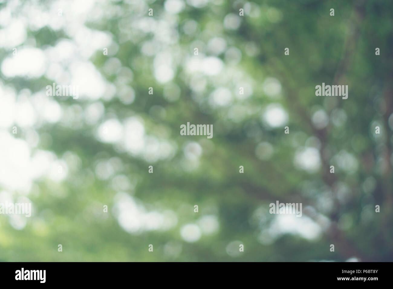 abstract blurry nature background Stock Photo - Alamy