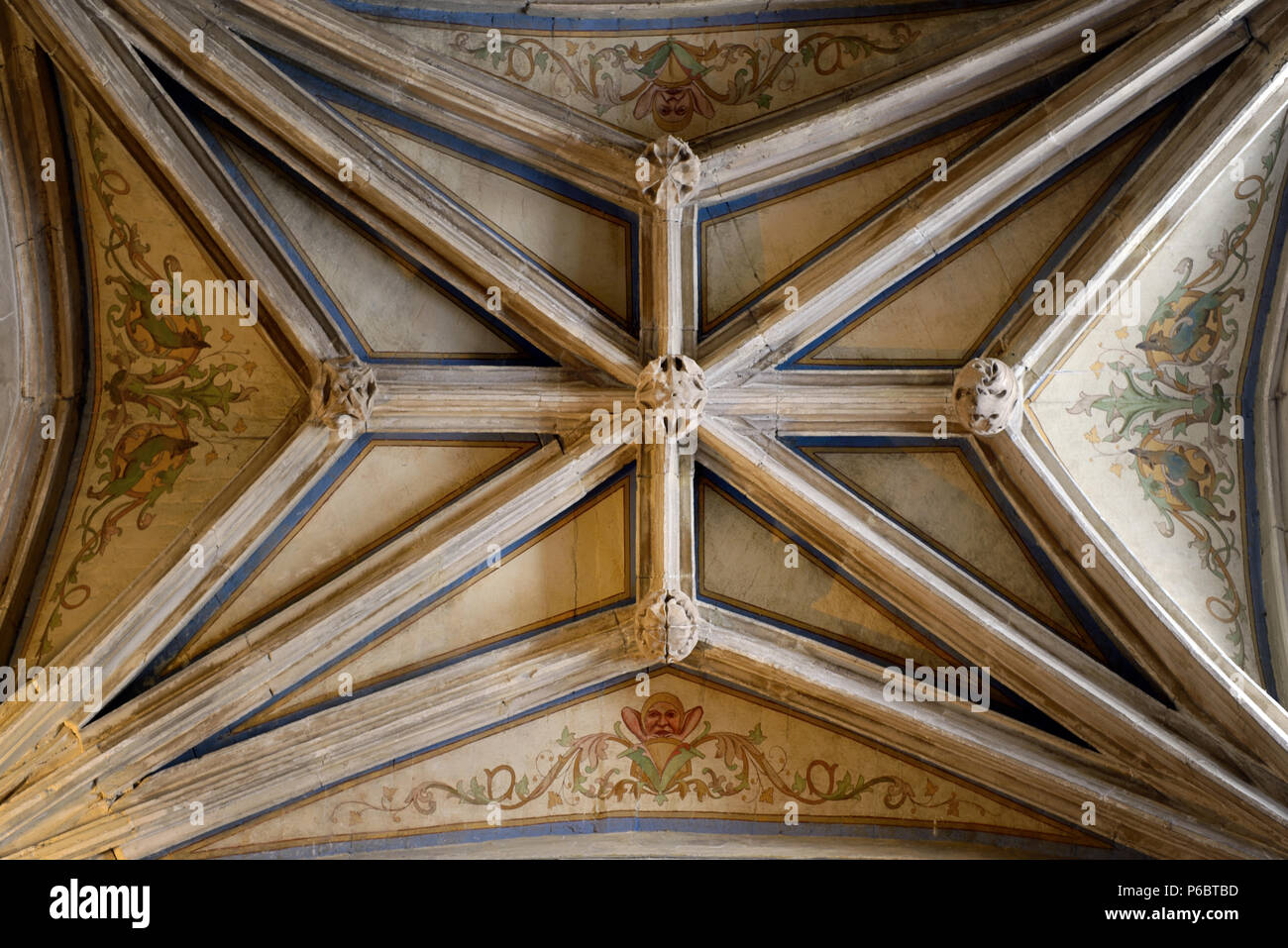 Ribbed ceiling hi-res stock photography and images - Alamy