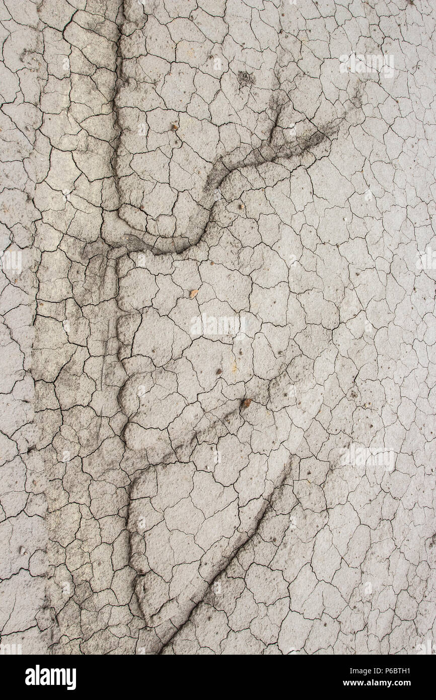 shapes of water flowing in a soil of clay after drought in Catalonia ...