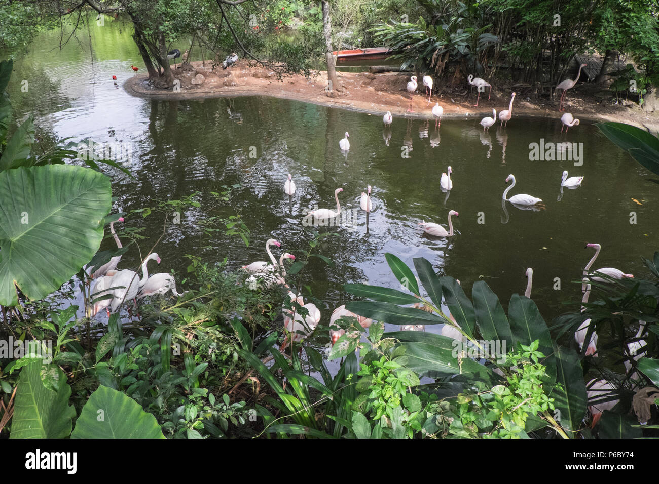 Taipei Zoo,zoo,animal,animals,Taipei,Taipei City,Taiwan,city,island ...