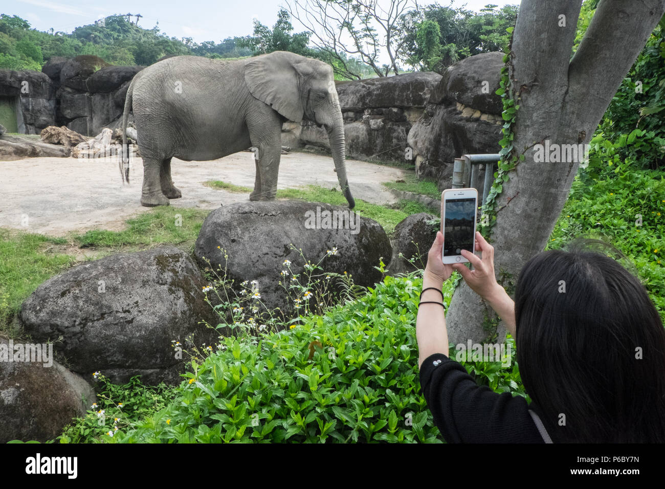 Taipei Zoo,zoo,animal,animals,Taipei,Taipei City,Taiwan,city,island ...