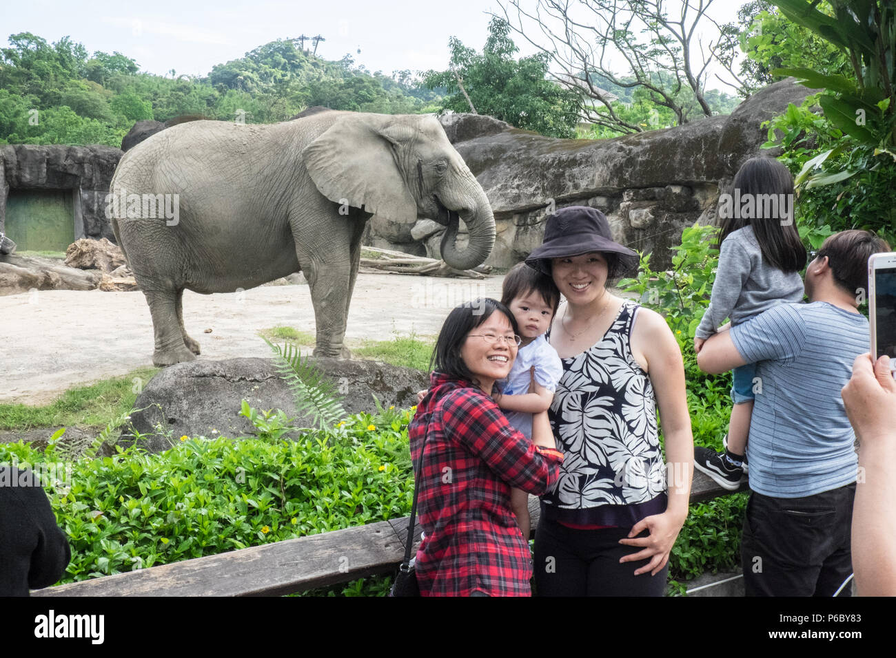 Taipei Zoo,zoo,animal,animals,Taipei,Taipei City,Taiwan,city,island ...
