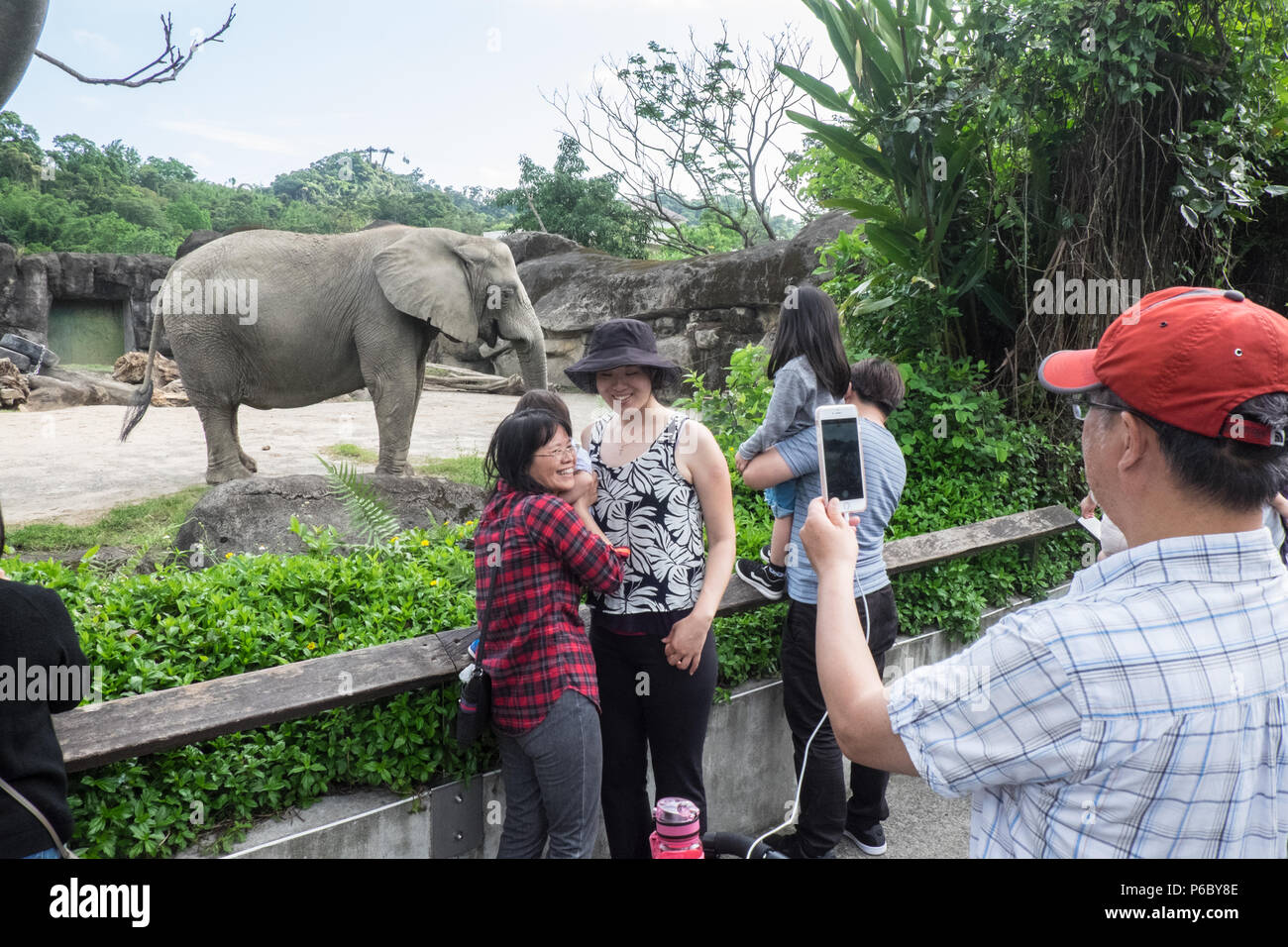 Taipei Zoo,zoo,animal,animals,Taipei,Taipei City,Taiwan,city,island ...