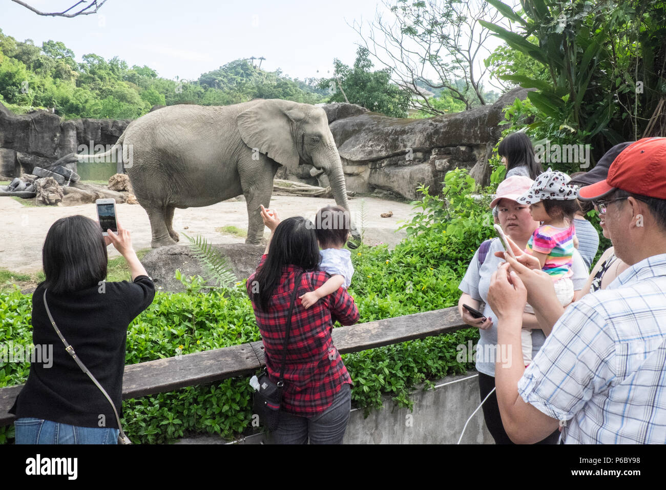 Taipei Zoo,zoo,animal,animals,Taipei,Taipei City,Taiwan,city,island ...